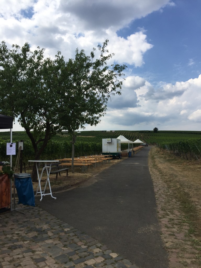 „Wein im Wingert“ in Rheinland Pfalz | sau-saugut blogt...