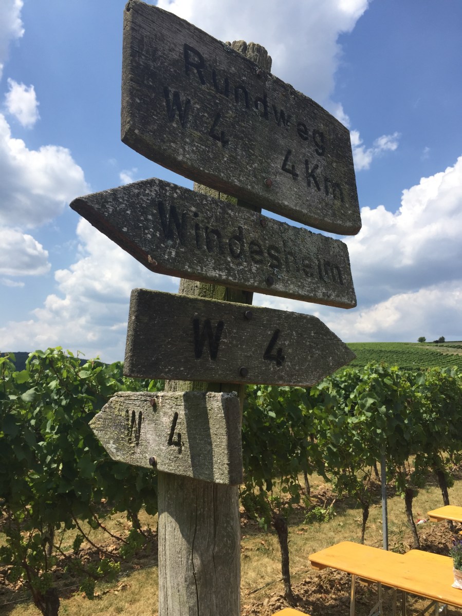 „Wein im Wingert“ in Rheinland Pfalz | sau-saugut blogt...