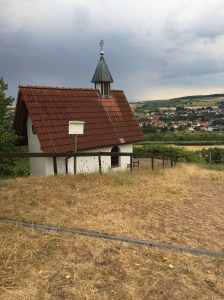 „Wein im Wingert“ in Rheinland Pfalz | sau-saugut blogt...